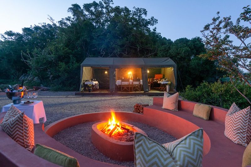 Indigenous San Tracking Experience in South Africa